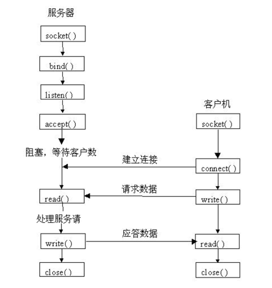 Socket网络编程之tcp、udpshm协议 Csdn博客 