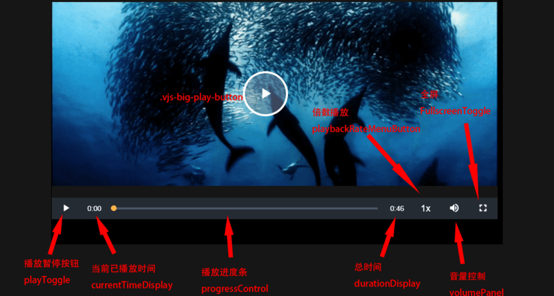Videojs播放器插件使用详解videominjs Csdn博客 