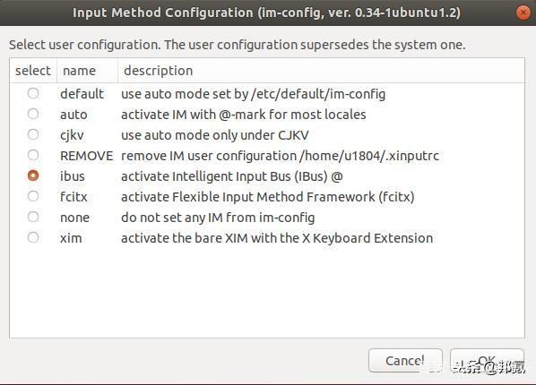 Ubuntu 18.04 安装中文输入法_输入法拼音ubuntu18.04anzhuang-CSDN博客