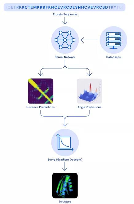 DeepMind开源AlphaFold，蛋白质预测模型登上《Nature》_预测模型开源-CSDN博客
